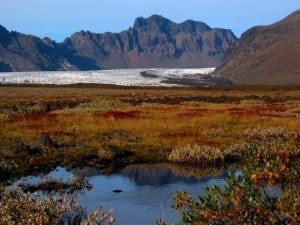 Skaftafell | Visit Vatnajökull Skaftafell National Park